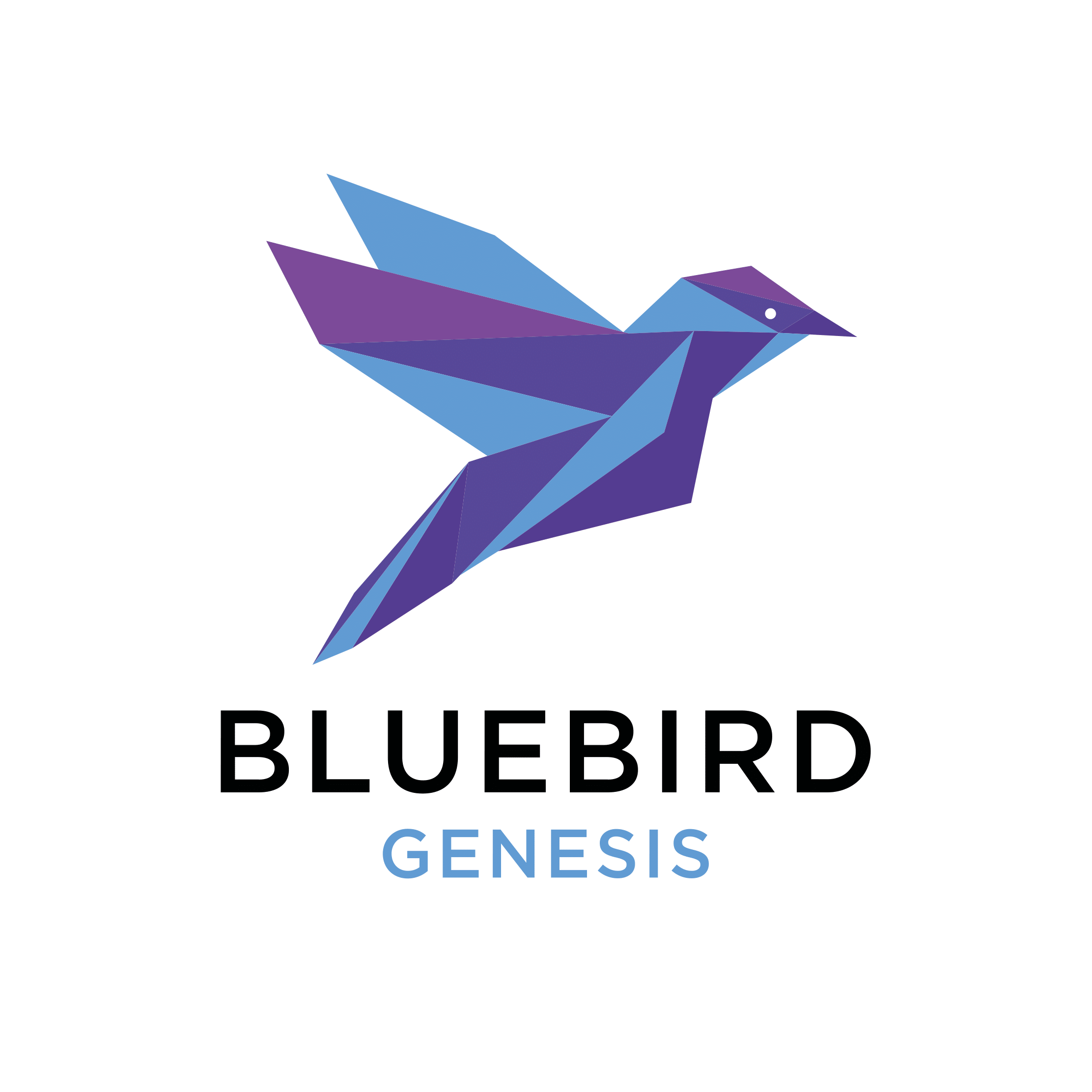 Tech career at Genesis Bluebird Sp. zo.o.