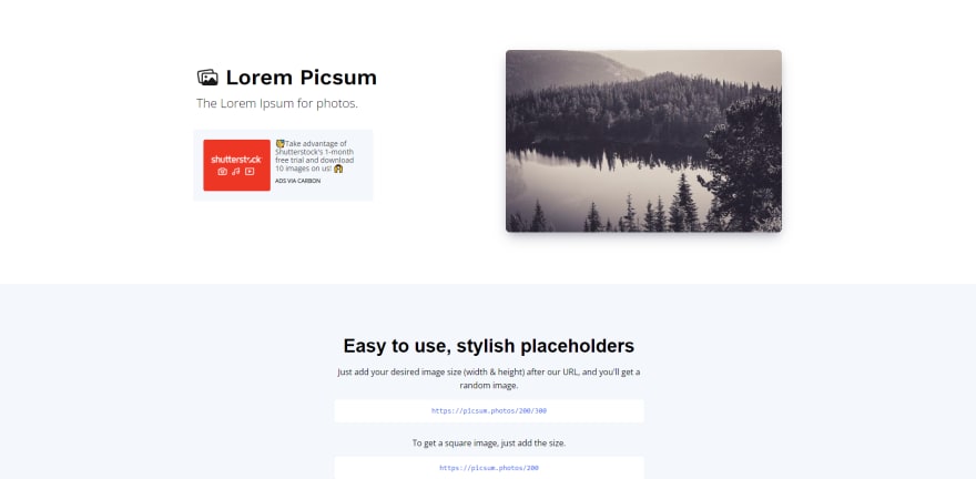 15 przydatnych generatorów placeholder dla designerów i developerów